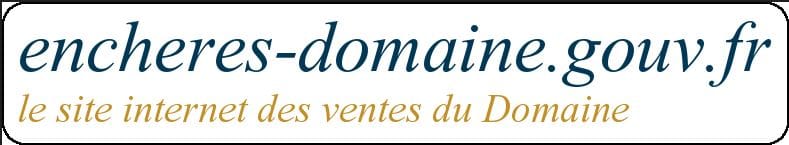Les Enchères du Domaine - Lyon | Maison de vente - Commissaire priseur