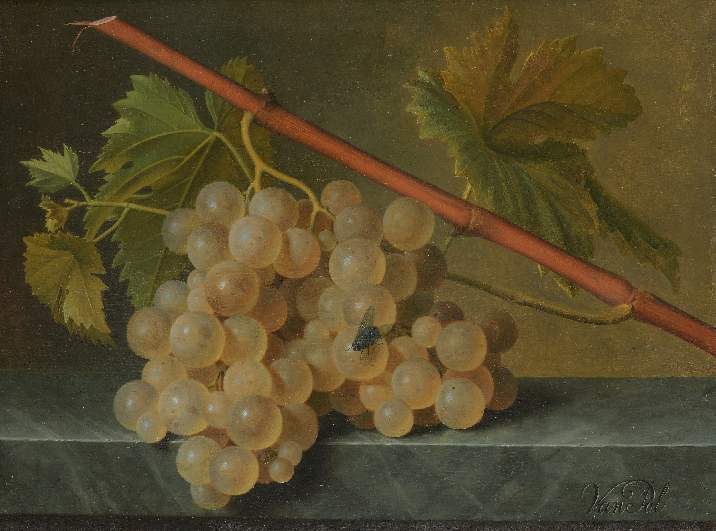 CHRISTIAEN VAN POL (1752-1813)Raisins ... | Tableaux anciens: enchères